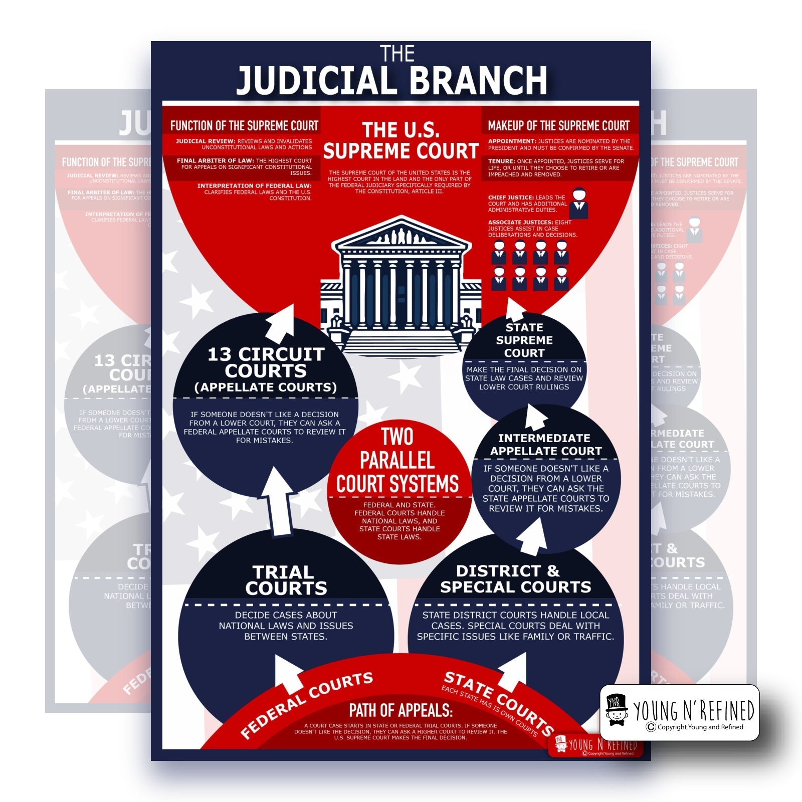 Judicial Branch Educational Classroom Poster Young N Refined – Young N ...