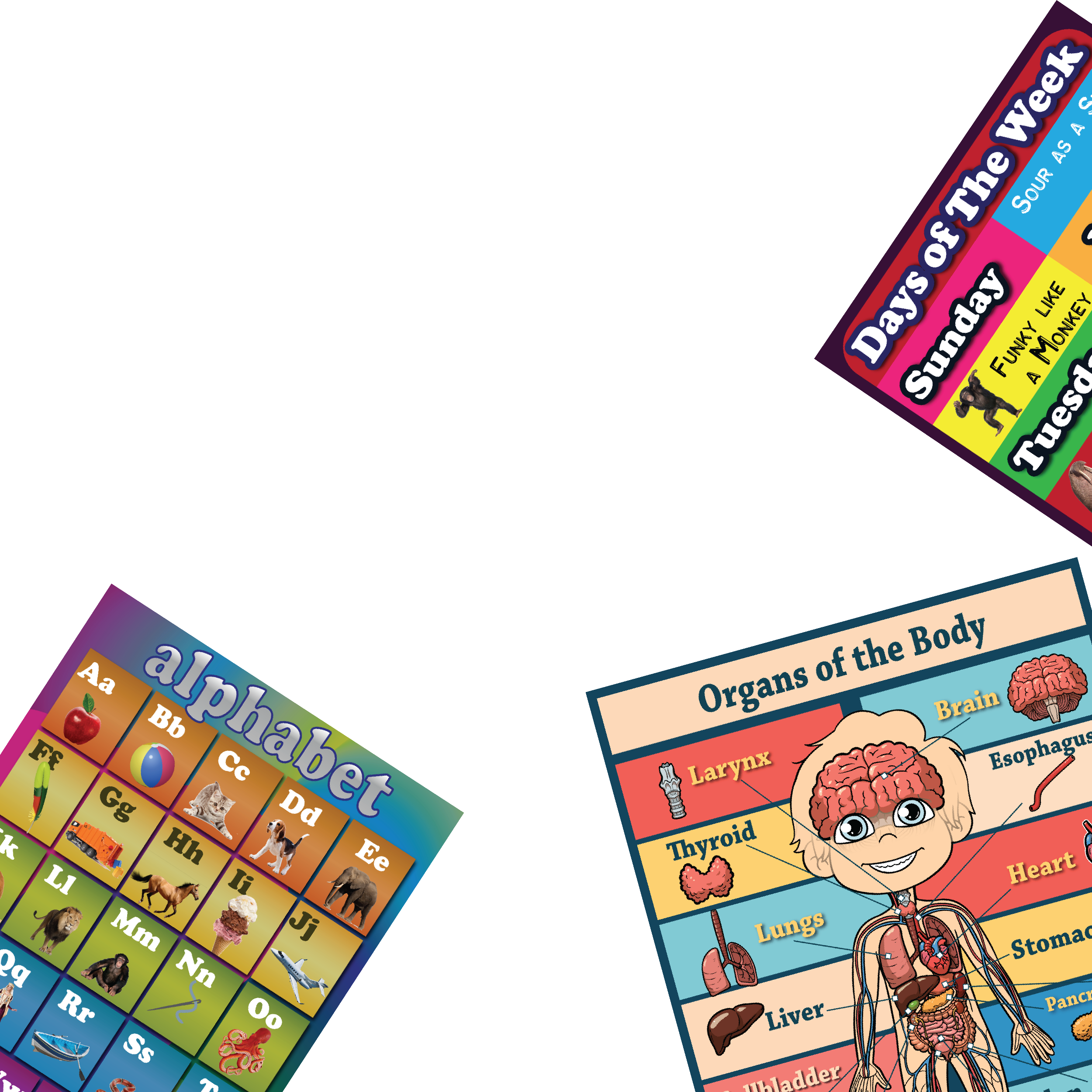 Toddler - Nursery - Classroom Posters and Charts – Young N' Refined