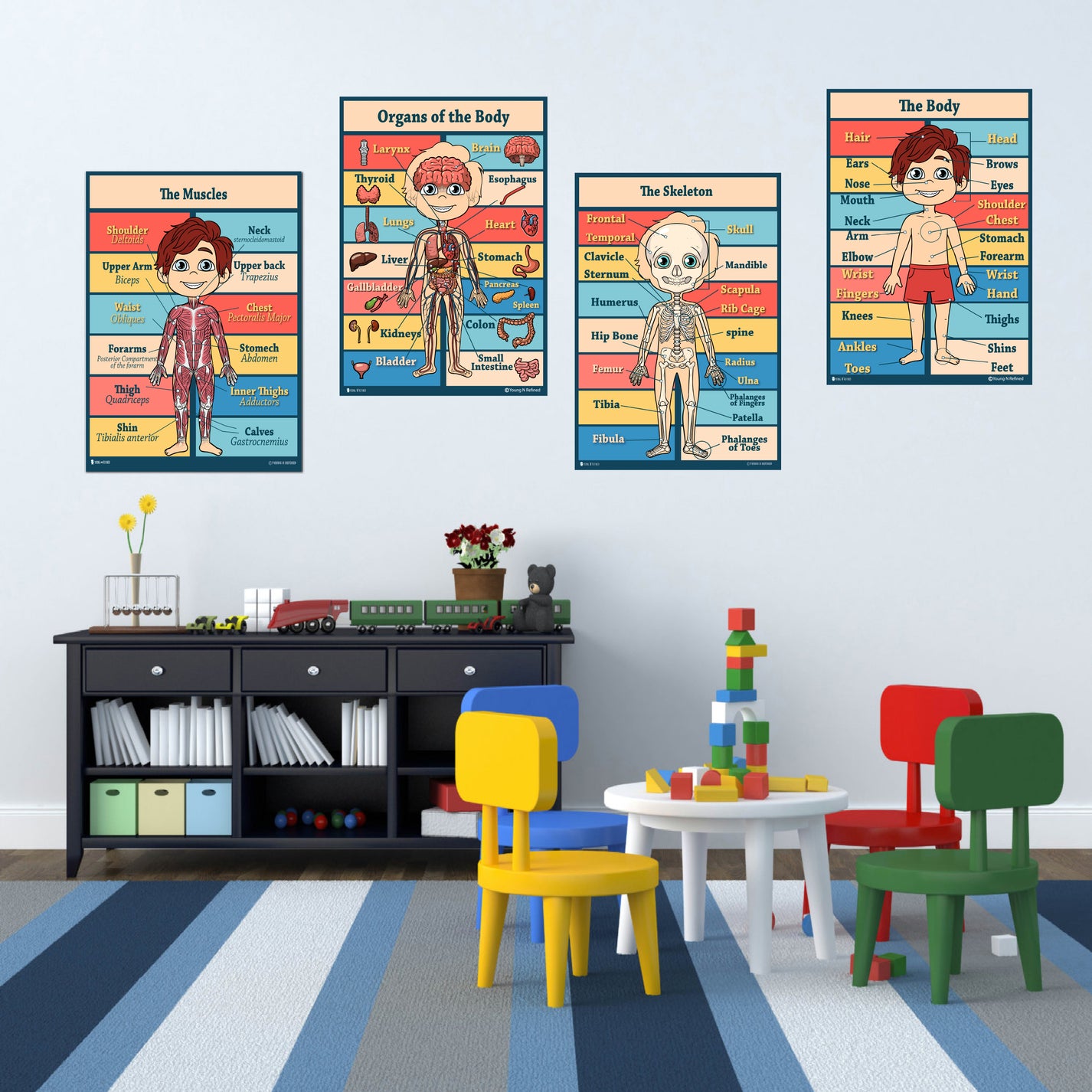 Anatomy Kids Poster 4 Pack Laminated Charts for Classrooms Early Learn ...